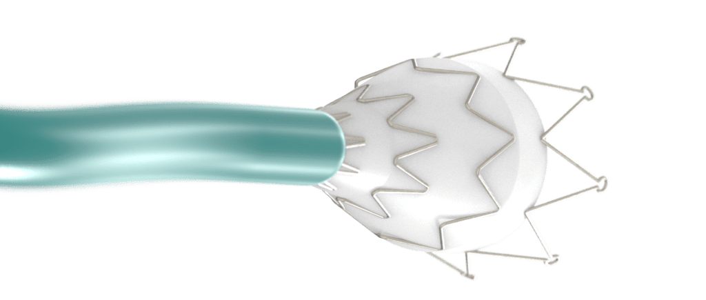 Delivery Systems - Medical Murray