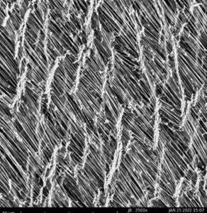 What is ePTFE? - Medical Murray